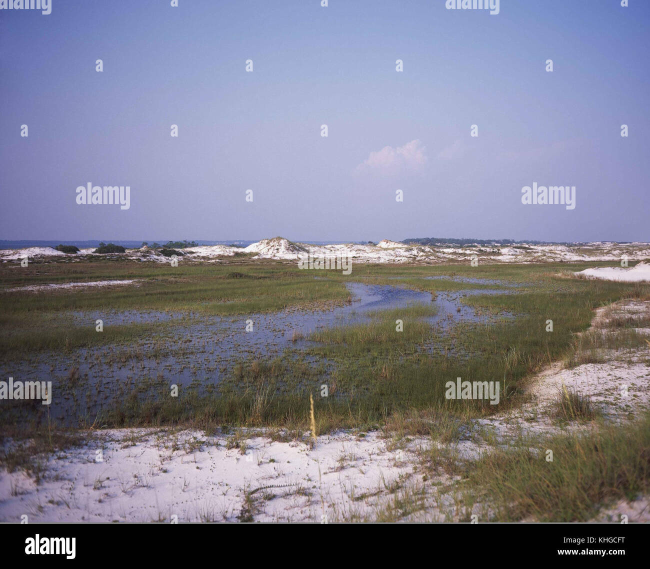 A scenic view of the shoreside Stock Photo - Alamy
