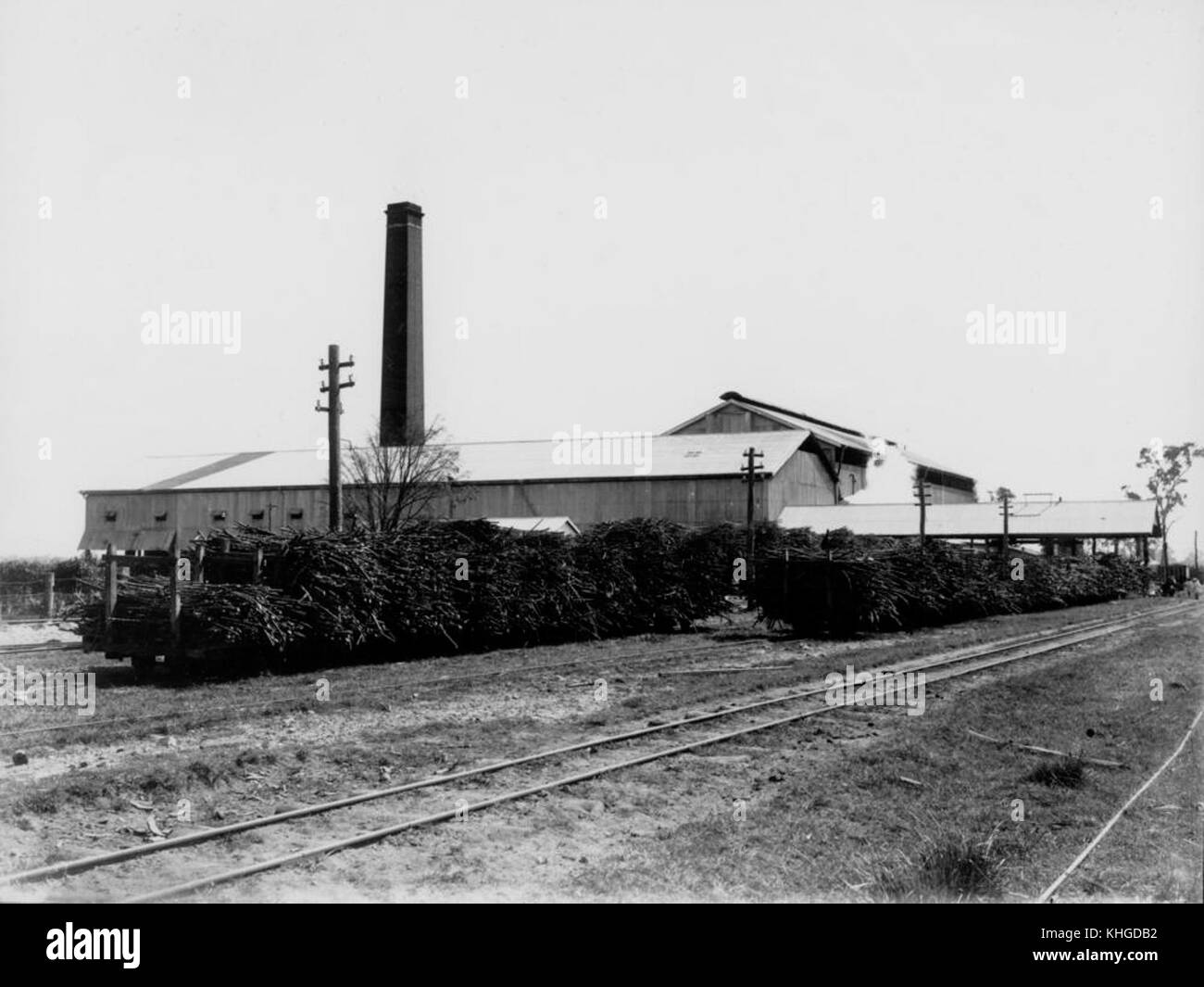 1 203692 Victoria Sugar Mill near Ingham, Queensland, ca. 1915 Stock ...