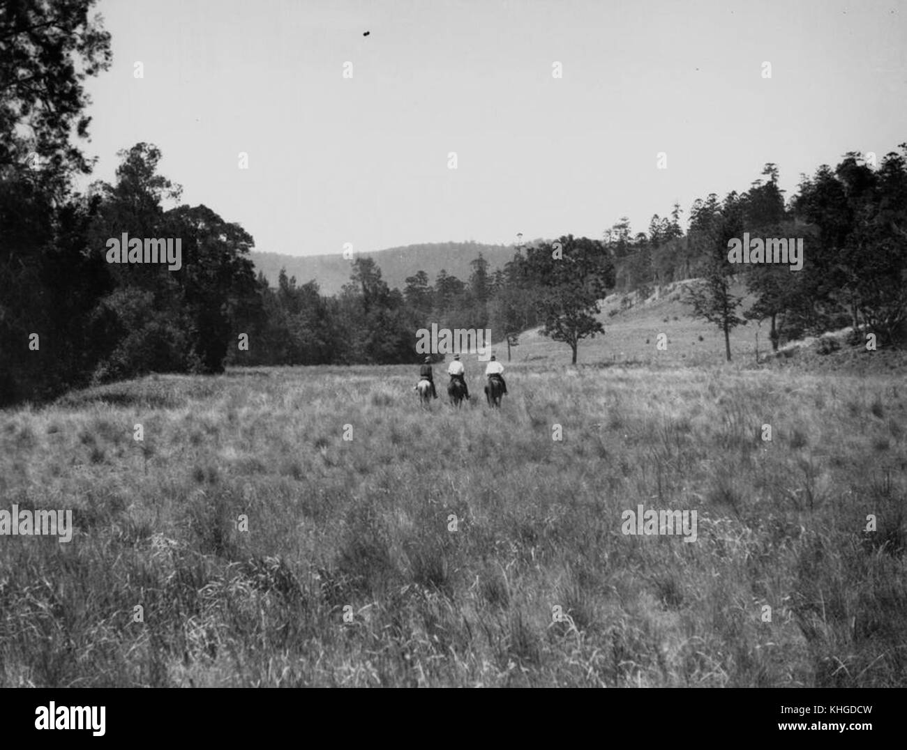 Frank Allan High Resolution Stock Photography and Images - Alamy