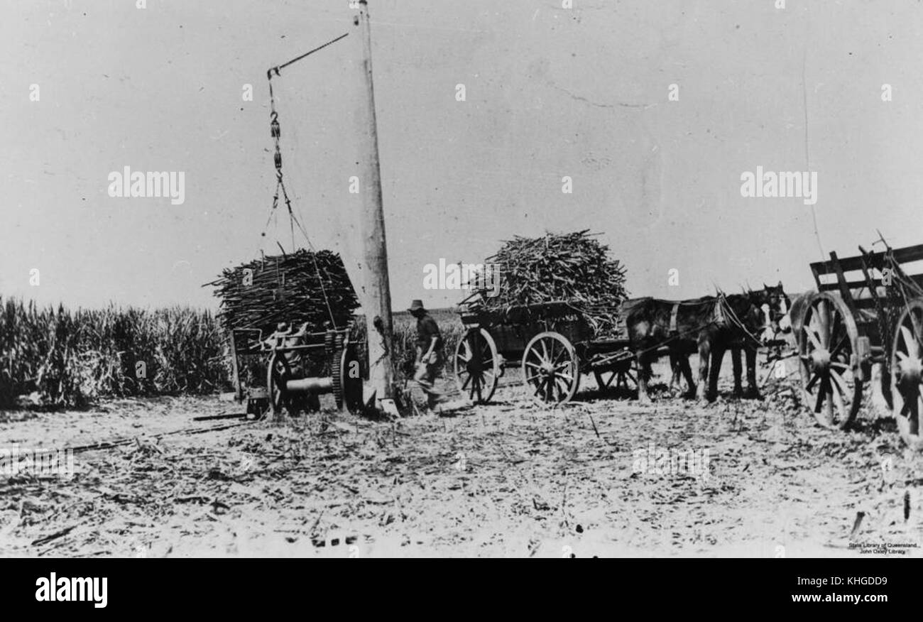 2 87664 Sugar transportation in Bundaberg, Queensland ca.1921 Stock ...