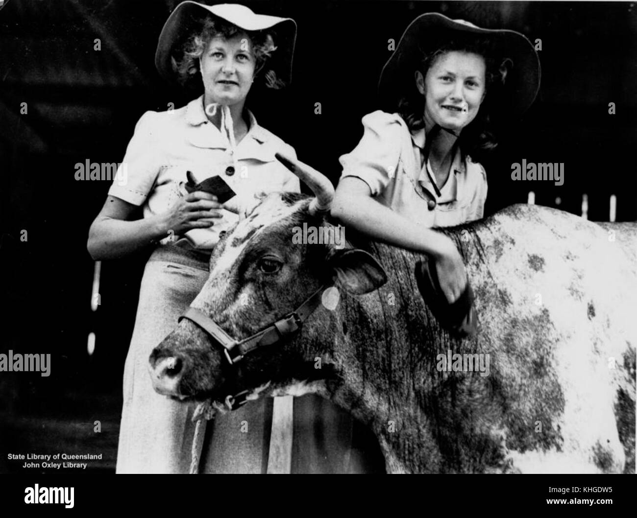 2 161943 Two young women preparing a bull for the Grand Parade of Prize ...