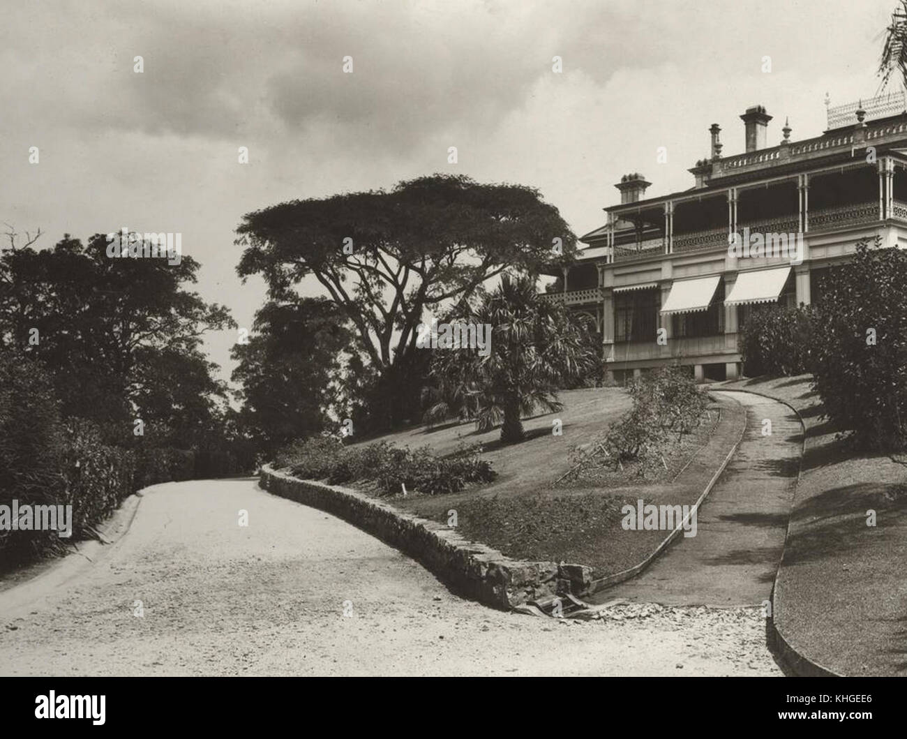 2 254624 Fernberg and part of the driveway, Government House ...