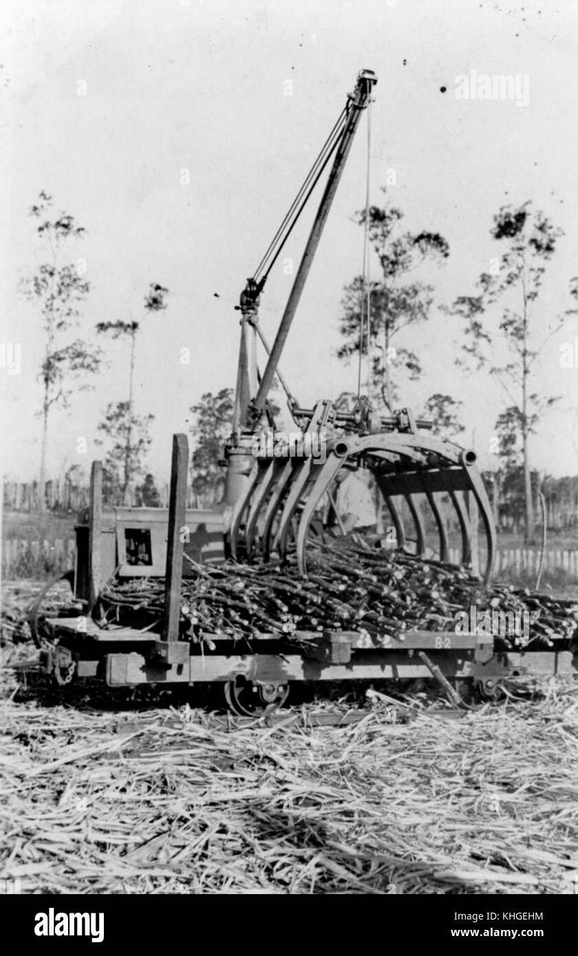 1 85876 Sugar cane harvesting at Victoria Mill in Ingham, ca. 1935 ...