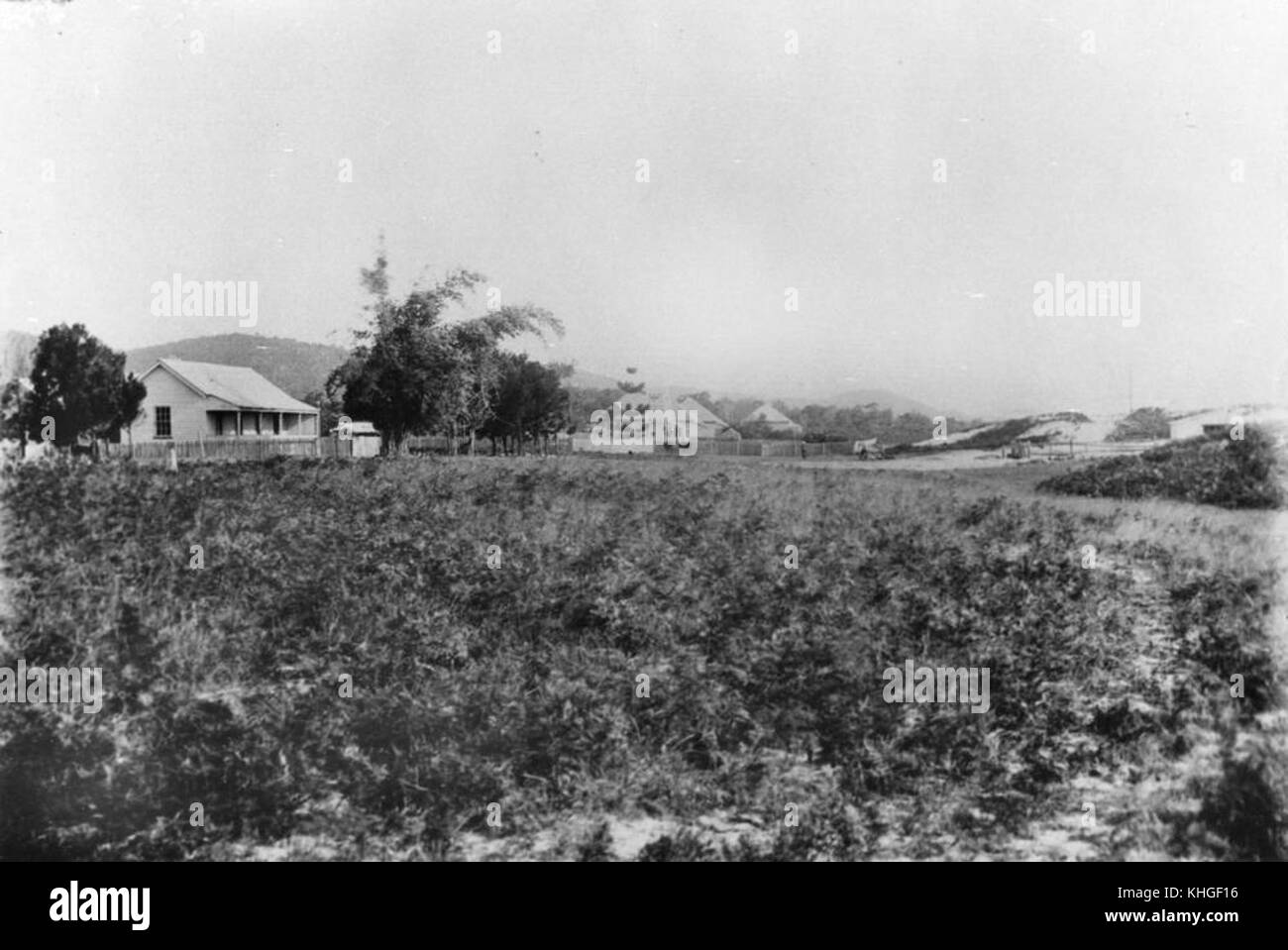 1 157665 Settlement of Bulwer on Moreton Island, 1906 Stock Photo - Alamy