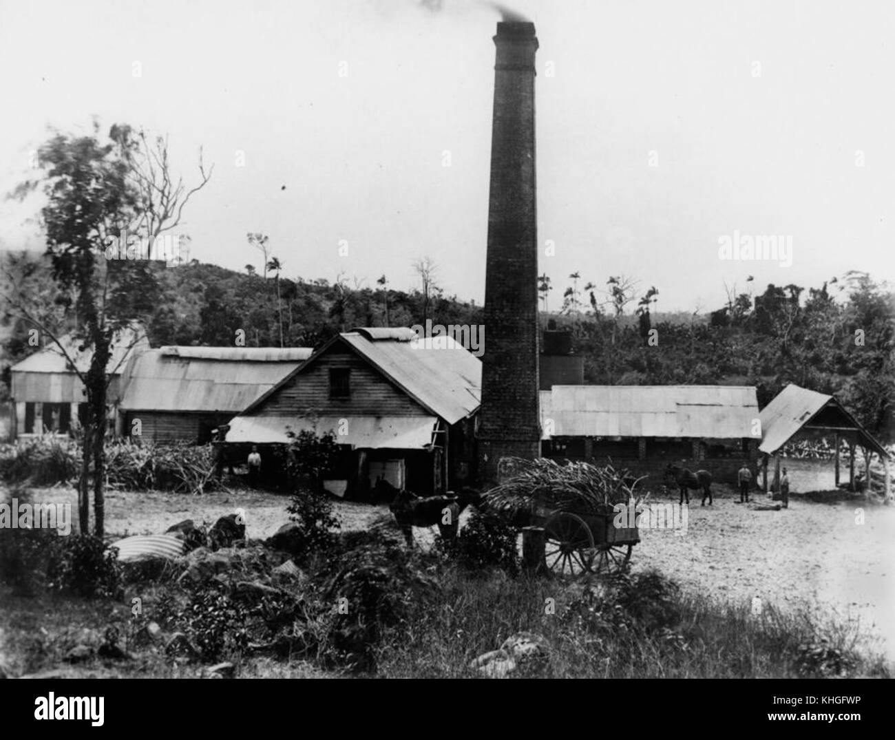 An image from 1895 depicting the Richmond sugar mill in Mackay ...