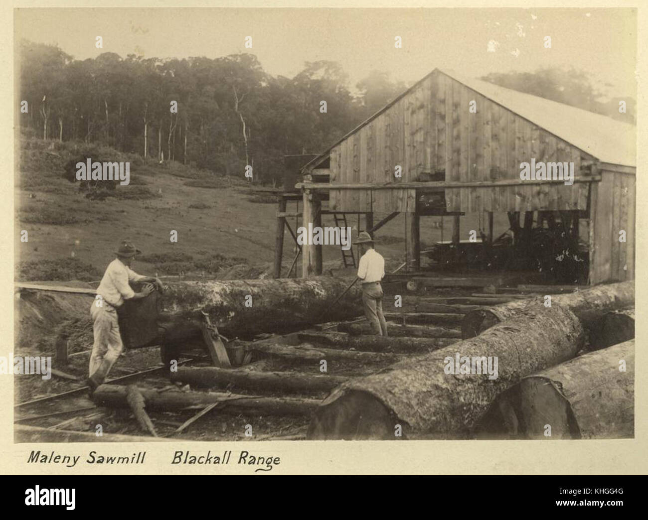 2 234386 Outside the Maleny Sawmill in the Blackall Range Stock Photo ...