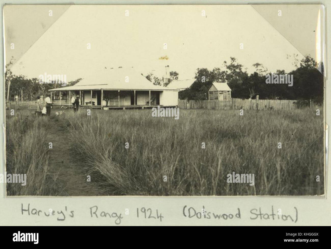 Dotswood hi-res stock photography and images - Alamy