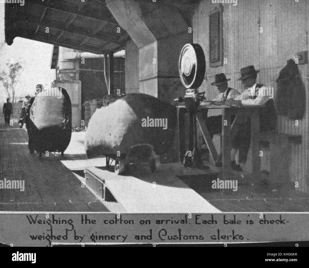 Weighing the cotton bales hi-res stock photography and images - Alamy