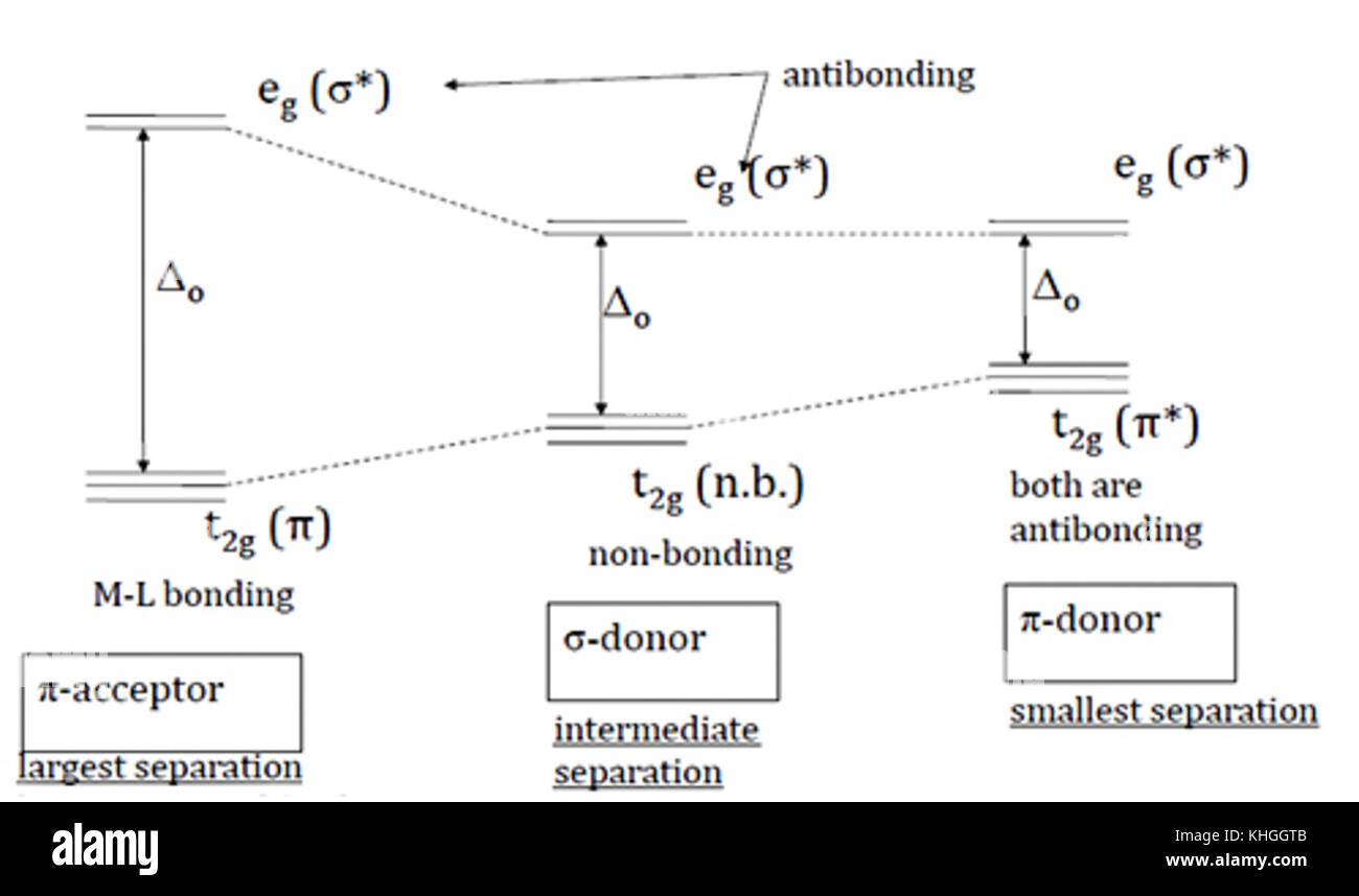 A picture of different types of ligands and how they affect the ...