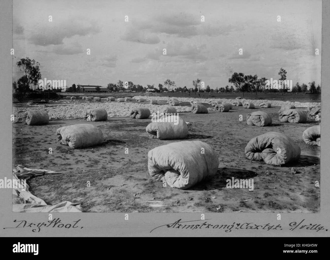 History of australian wool industry Black and White Stock Photos ...