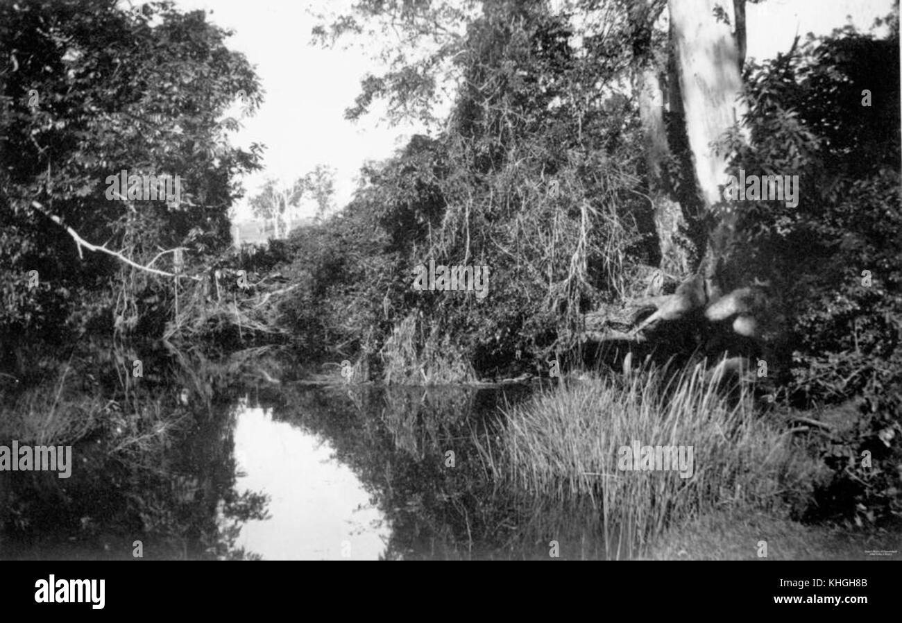 Pimpama river hi-res stock photography and images - Alamy