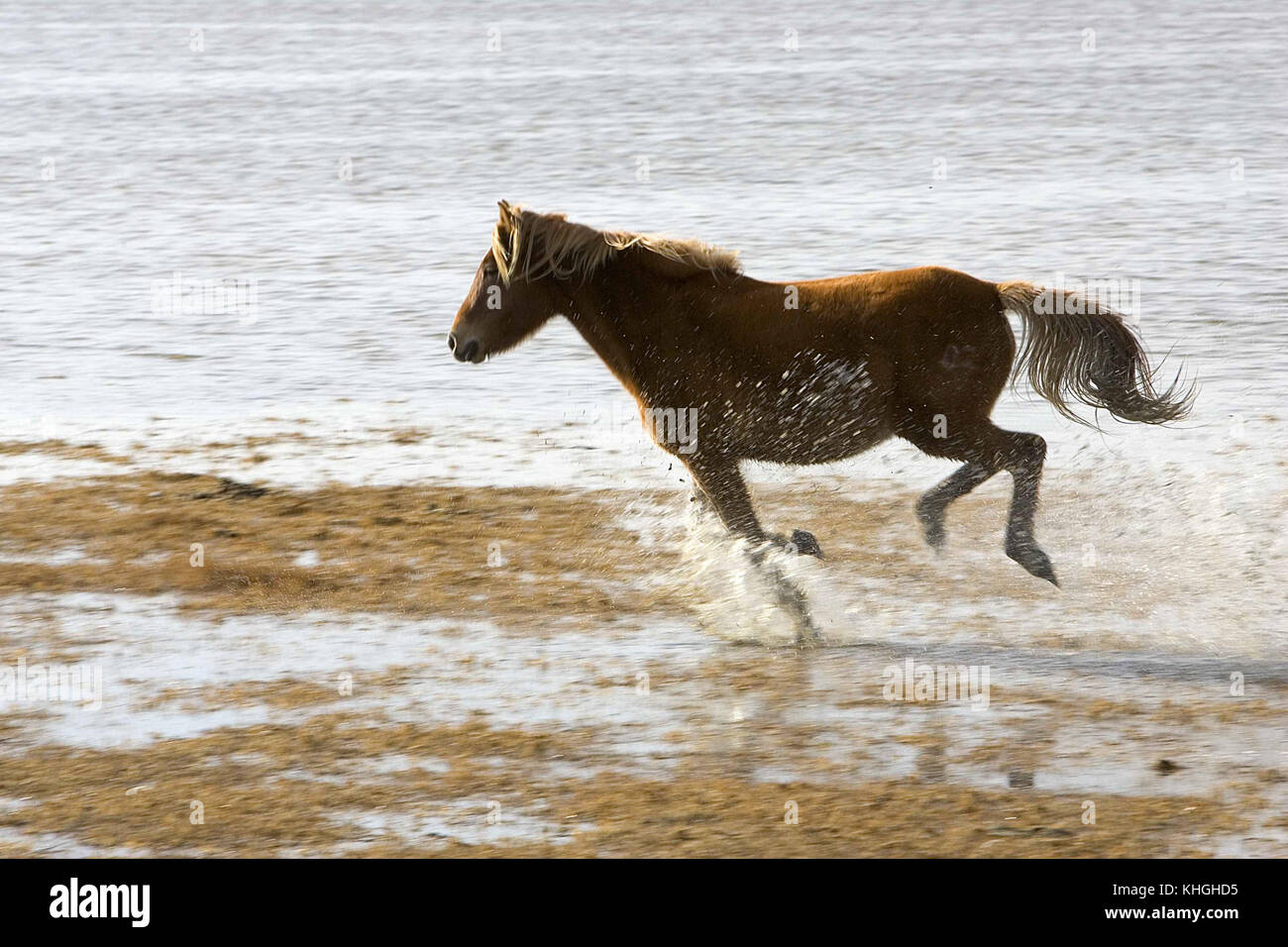 Gleefully hi-res stock photography and images - Alamy
