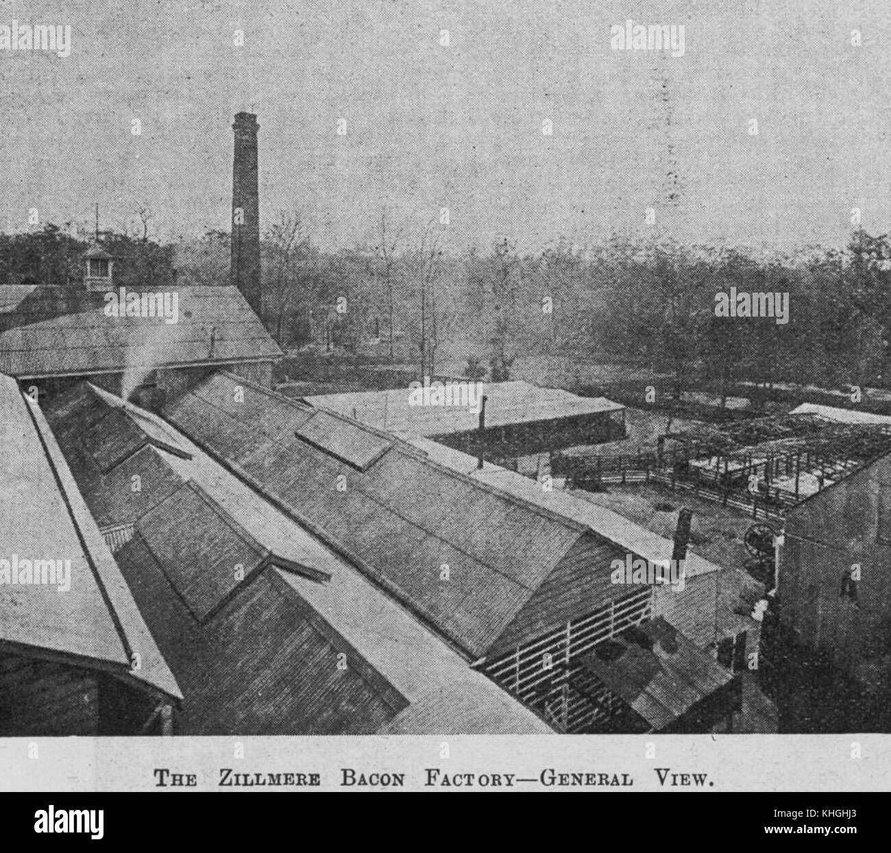 Bacon factory hi-res stock photography and images - Alamy