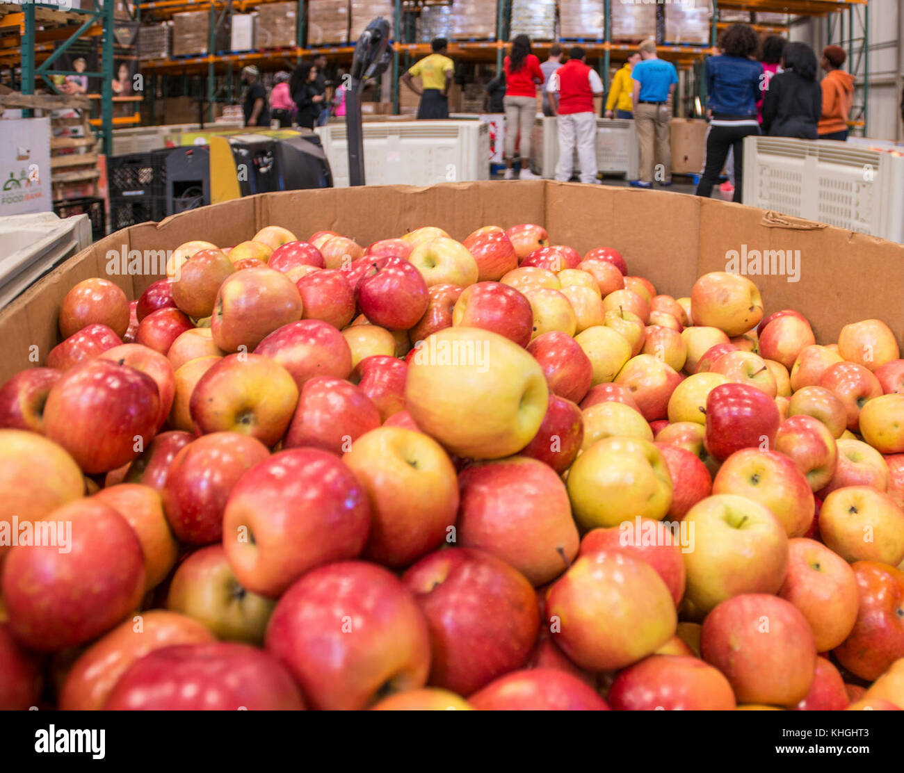 Volunteers are instructed on how to inspect apples at the Capitol Area ...
