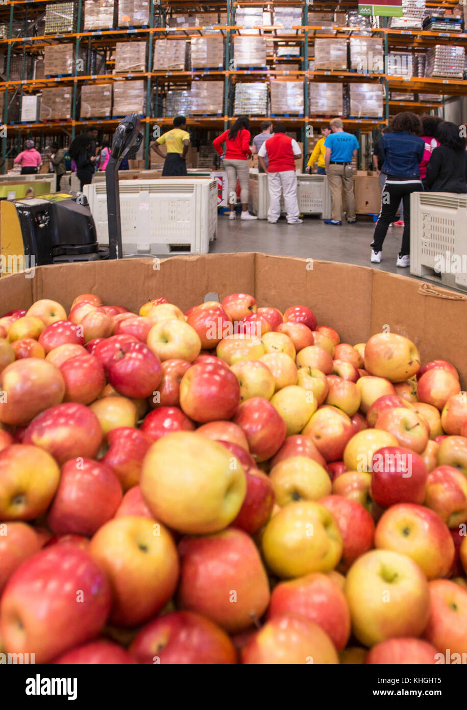 Volunteers are instructed on how to inspect apples at the Capitol Area ...