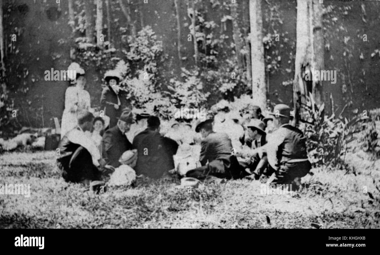 1 159495 Sir Arthur Morgan at picnic during opening of the Herberton ...