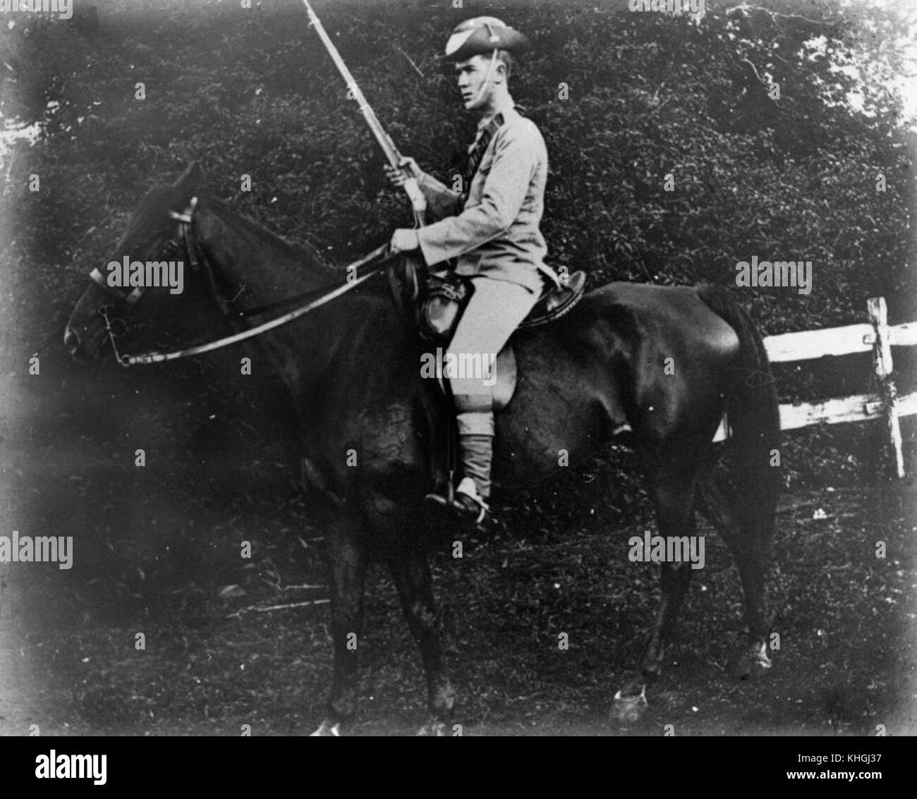 Angustus High Resolution Stock Photography and Images - Alamy