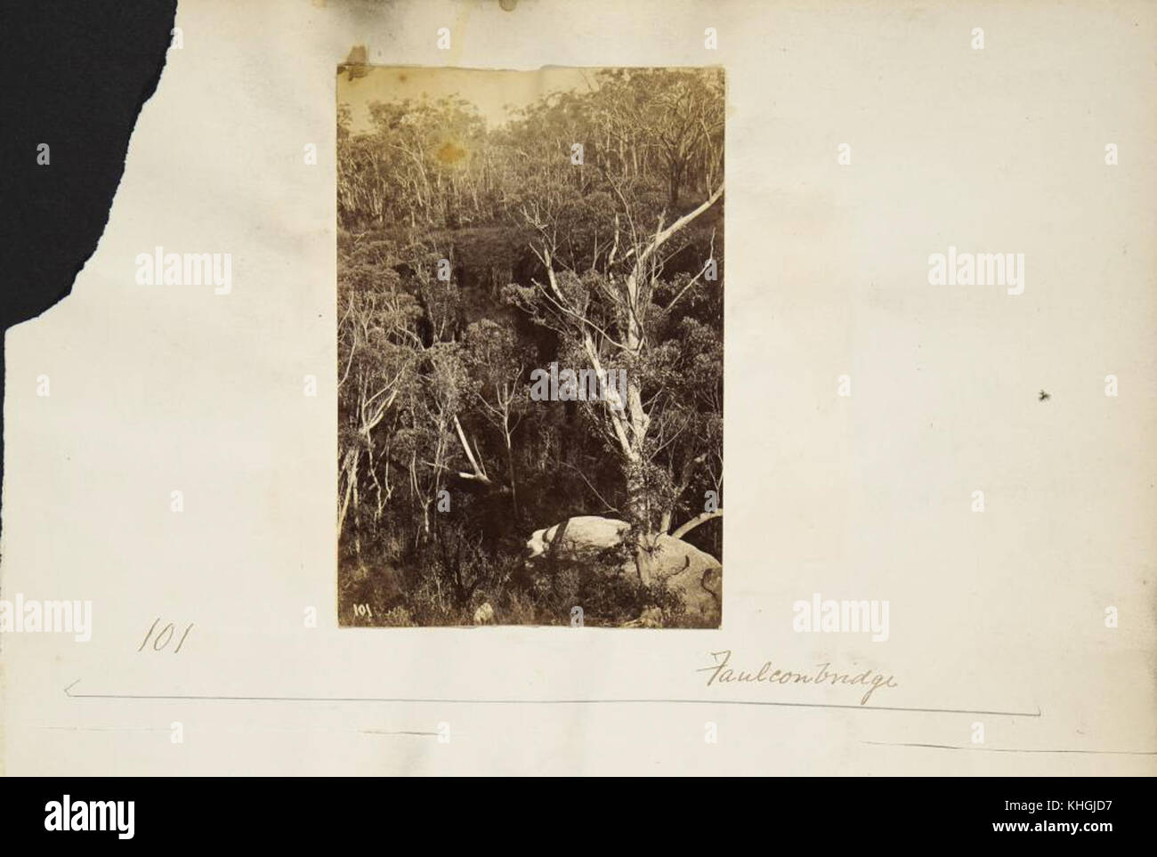 Faulconbridge hi-res stock photography and images - Alamy