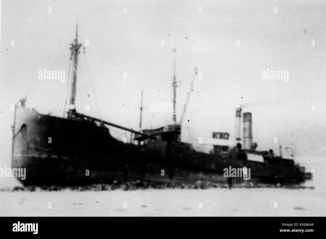 Kowhai illustration hi-res stock photography and images - Alamy