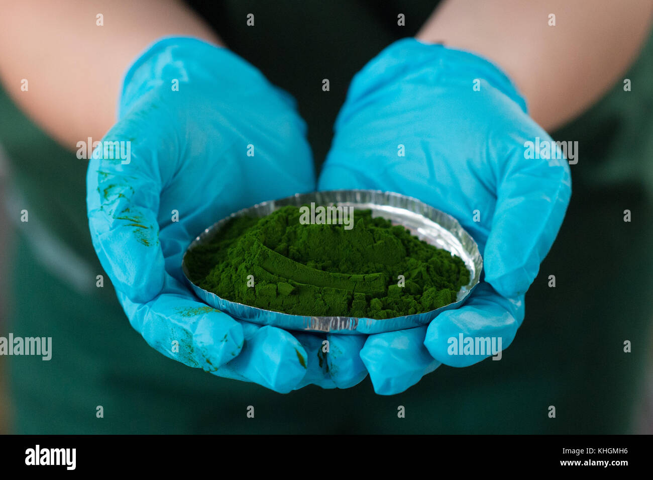 Kloetz, Germany. 2nd Nov, 2017. A worker of algae producer Roquette ...