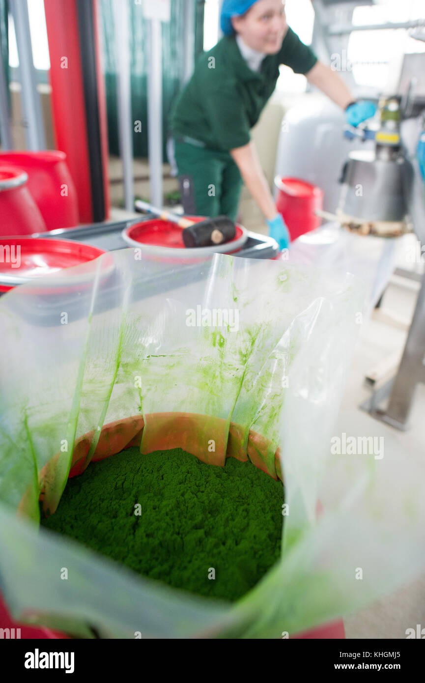 Kloetze, Germany. 2nd Nov, 2017. Fresh dried algae are stored in ...