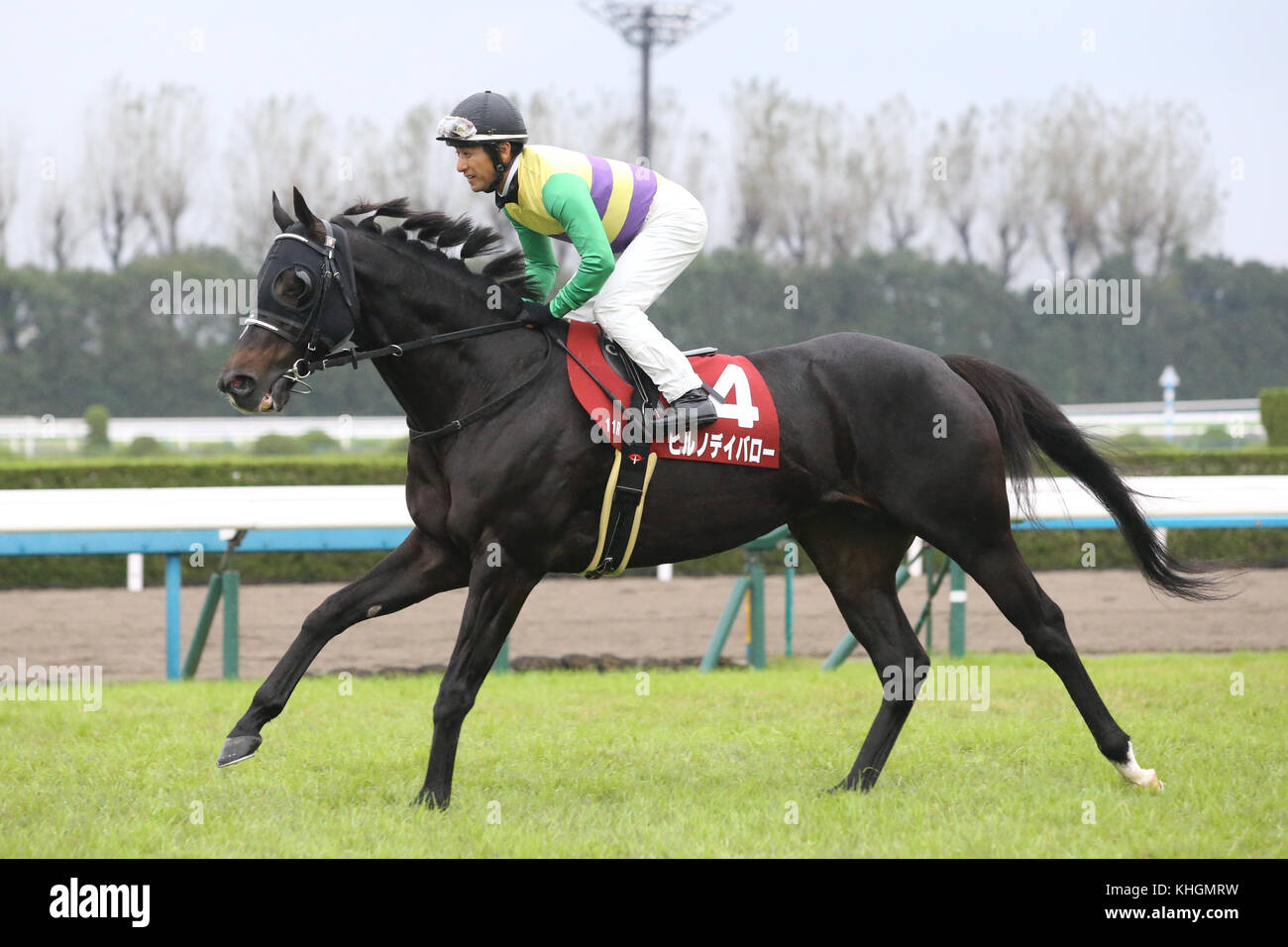 Kyoto, Japan. 28th Oct, 2017. Hiruno Devaro (Hirofumi Shii) Horse ...