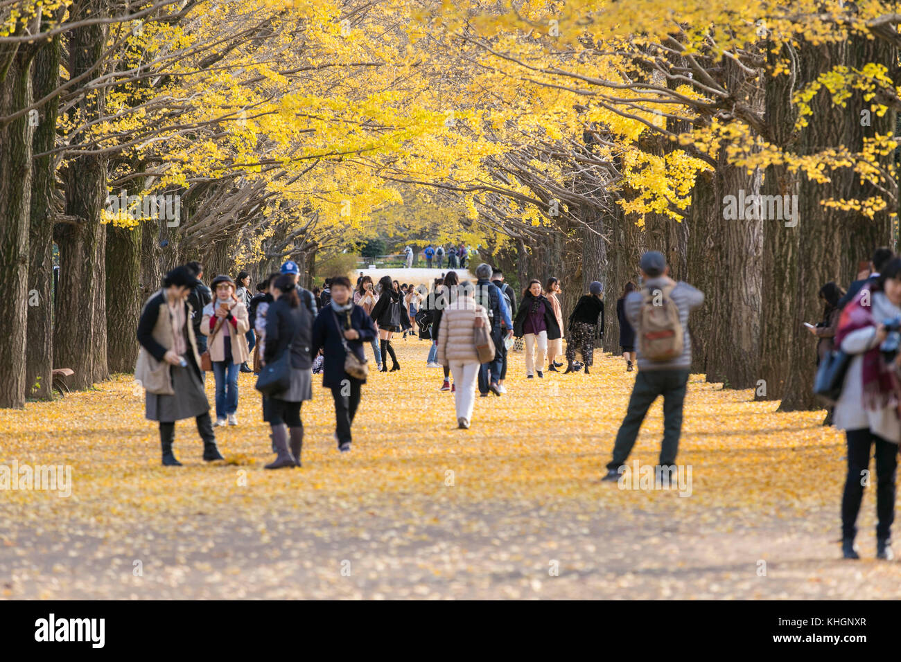 Shouwa hi-res stock photography and images - Alamy