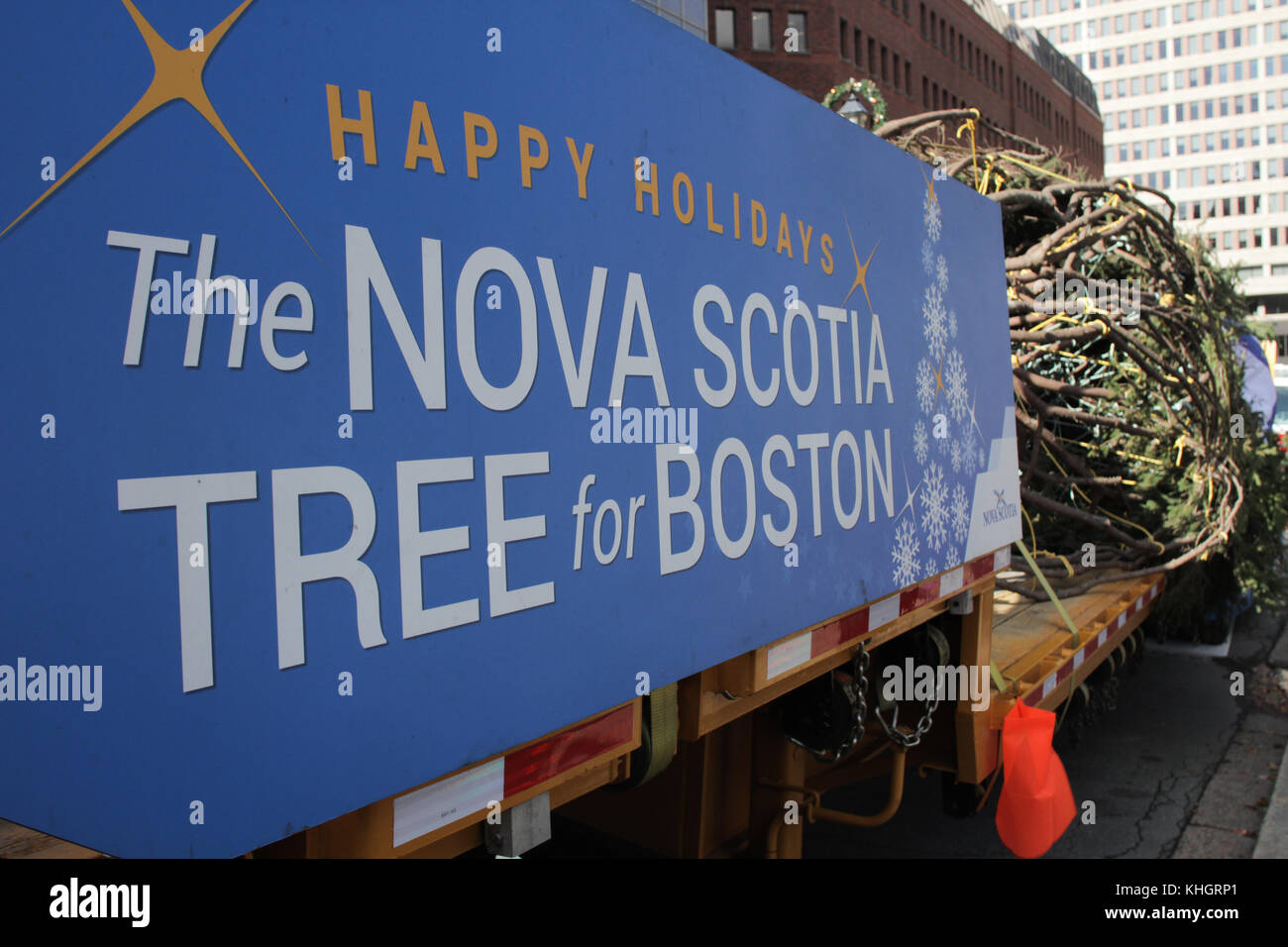 Halifax tree for boston hi-res stock photography and images - Alamy