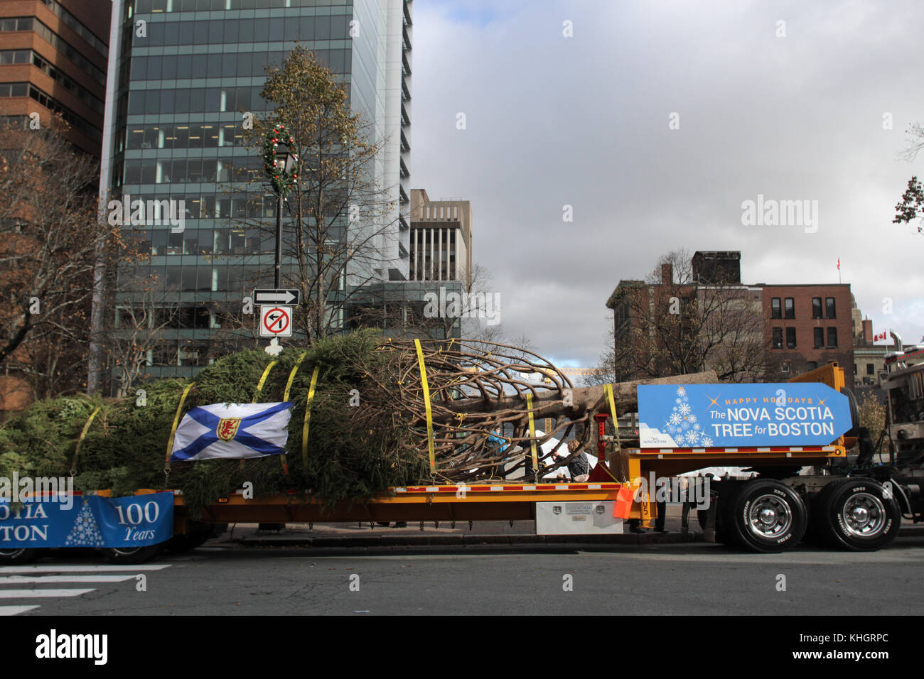 Halifax tree for boston hi-res stock photography and images - Alamy