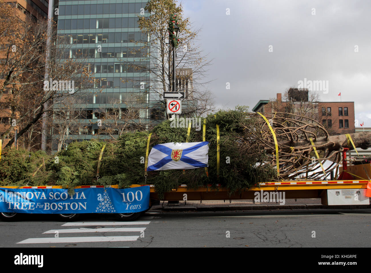 Halifax tree for boston hi-res stock photography and images - Alamy