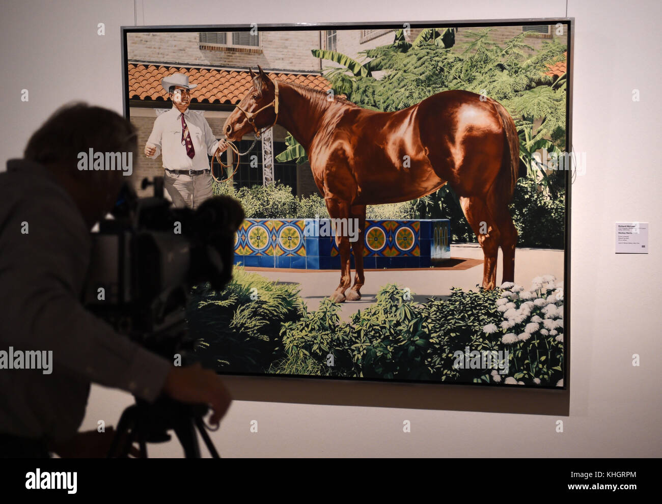 Emden, Germany. 17th Nov, 2017. A cameraman films the work "Mackey ...