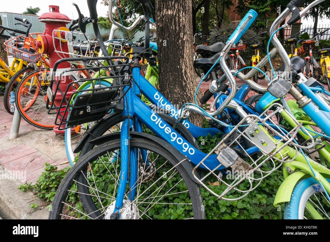 Bluegogo Chinese bike-sharing operator in Shenzhen, China Stock Photo ...