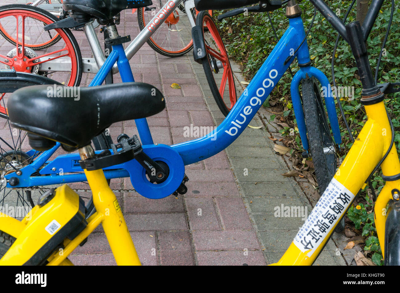 Bluegogo chinese shared bike hi-res stock photography and images - Alamy