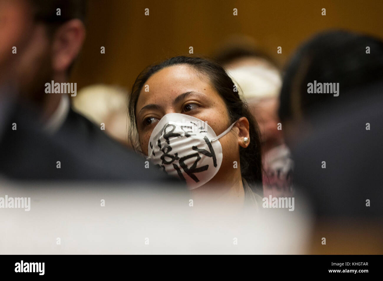 Washington, USA. 14th Nov, 2017. A demonstrator wears a mask denouncing ...