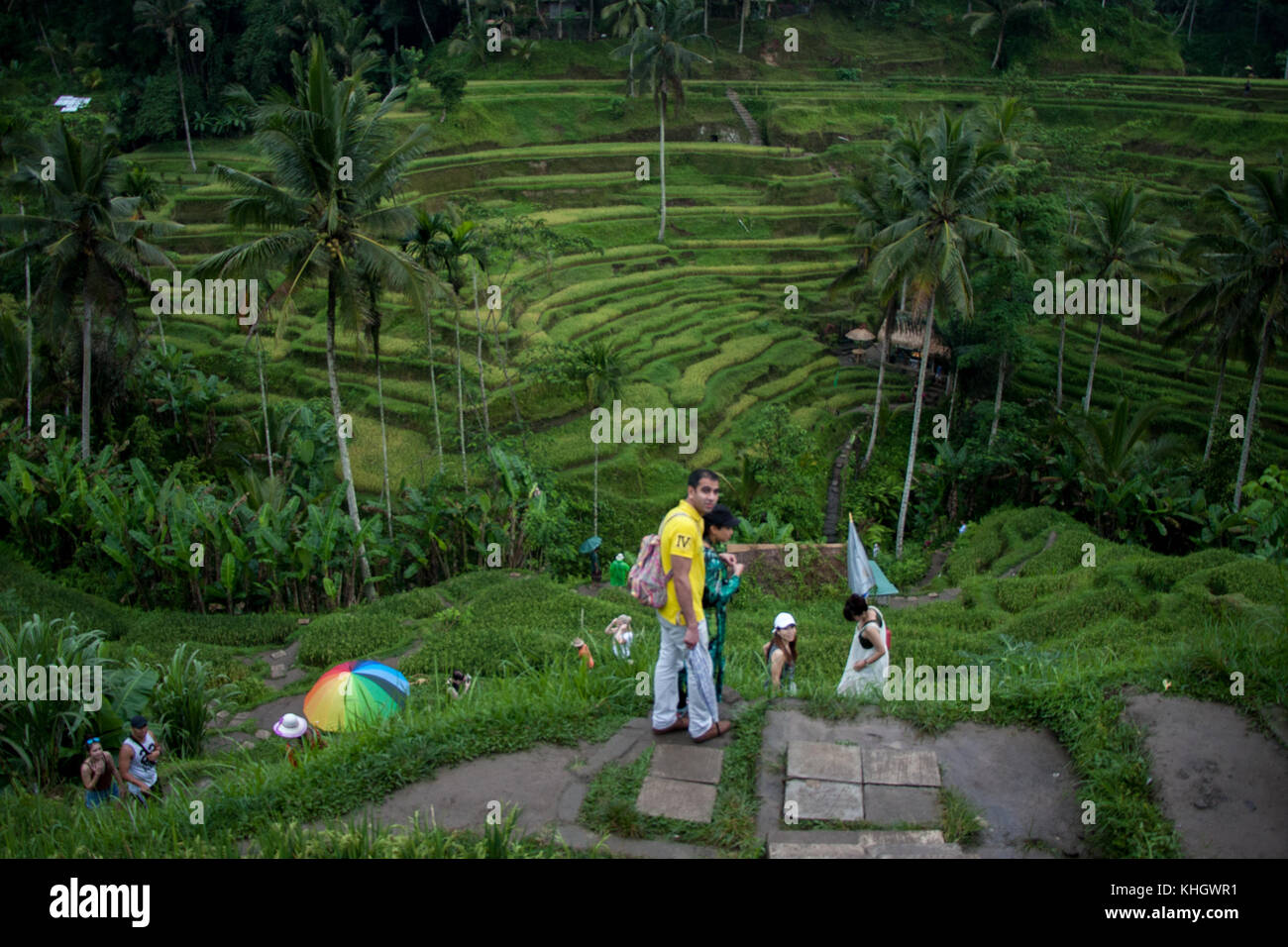 Popular destinations Tegallalang Rice Terrace in Gianyar regency, Bali ...
