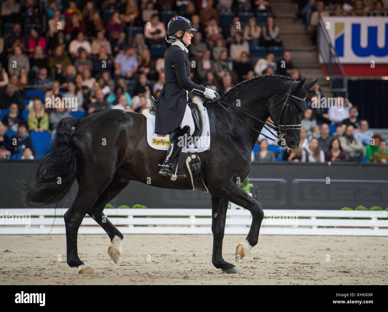 Stuttgart, Germany. 18th Nov, 2017. The dressage rider Hayley Watson ...