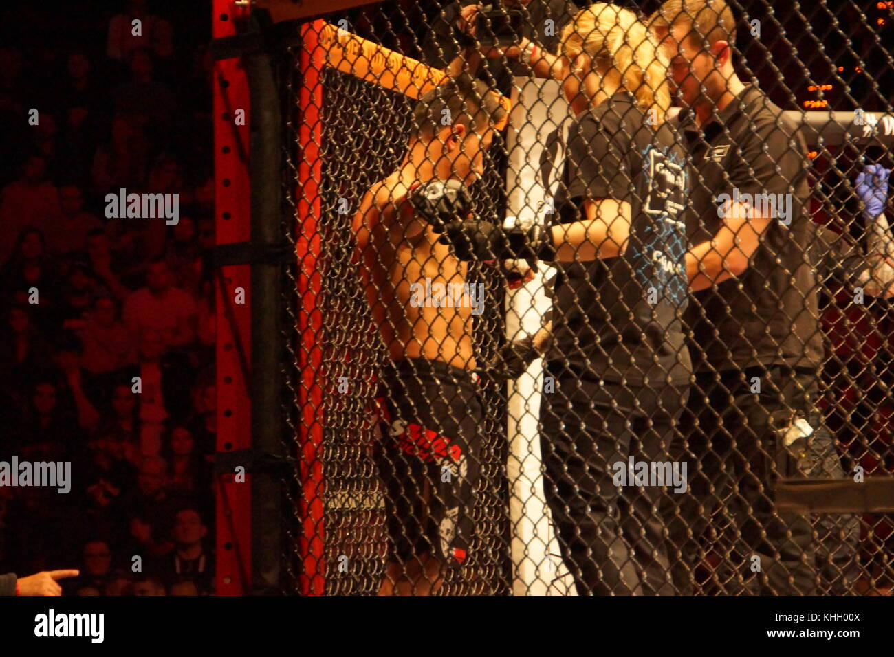 Hamburg, Germany. 18th Nov, 2017.The the fight between Alexander Luster ...