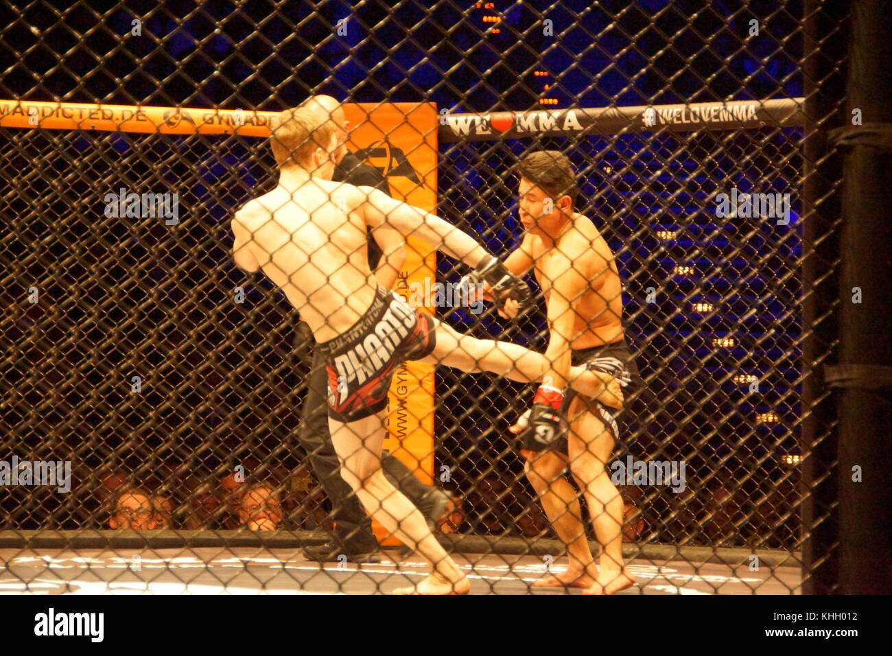 Hamburg, Germany. 18th Nov, 2017.The the fight between Alexander Luster ...