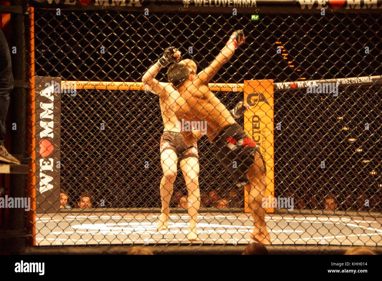 Hamburg, Germany. 18th Nov, 2017.The the fight between Alexander Luster ...