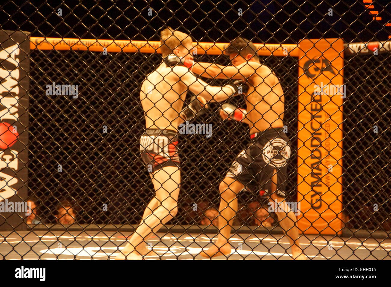 Hamburg, Germany. 18th Nov, 2017.The the fight between Alexander Luster ...