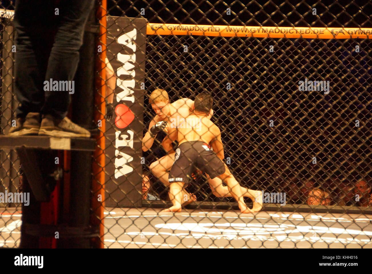 Hamburg, Germany. 18th Nov, 2017.The the fight between Alexander Luster ...