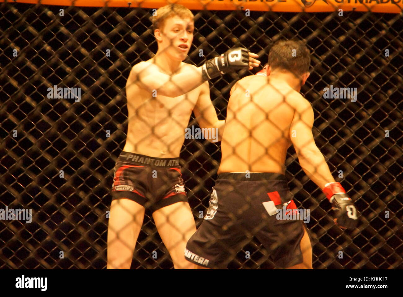 Hamburg, Germany. 18th Nov, 2017.The the fight between Alexander Luster ...