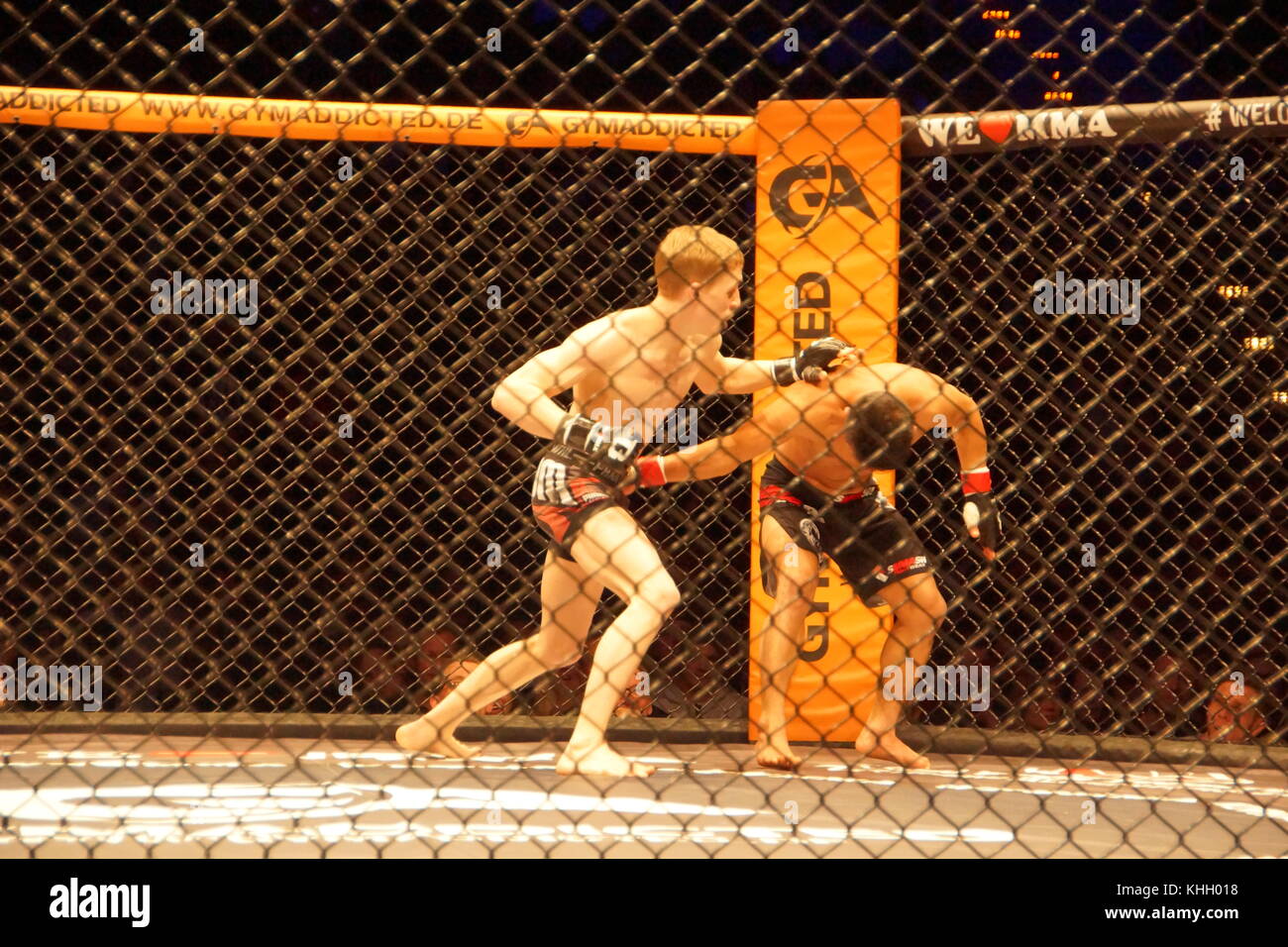 Hamburg, Germany. 18th Nov, 2017.The the fight between Alexander Luster ...