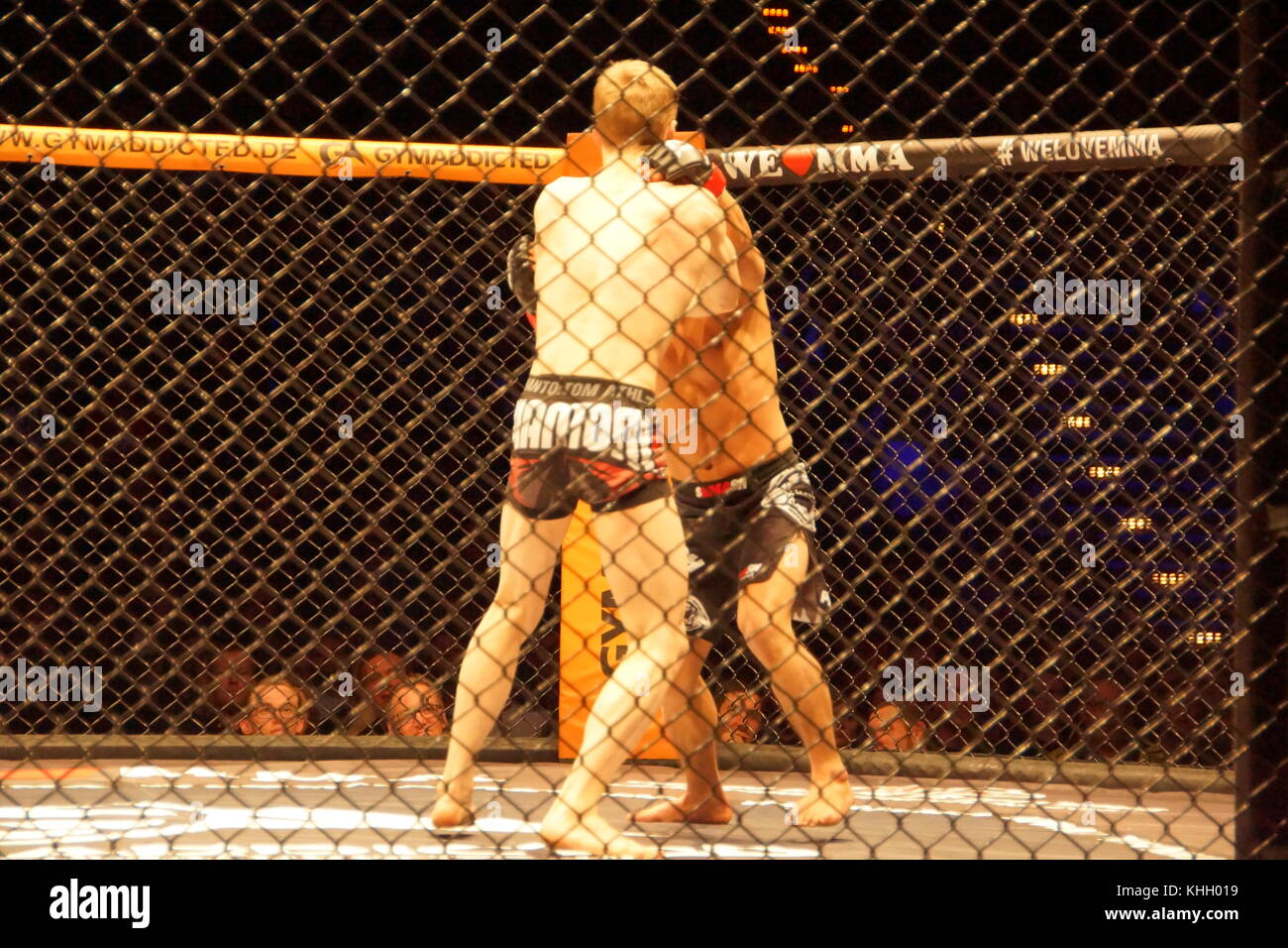 Hamburg, Germany. 18th Nov, 2017.The the fight between Alexander Luster ...