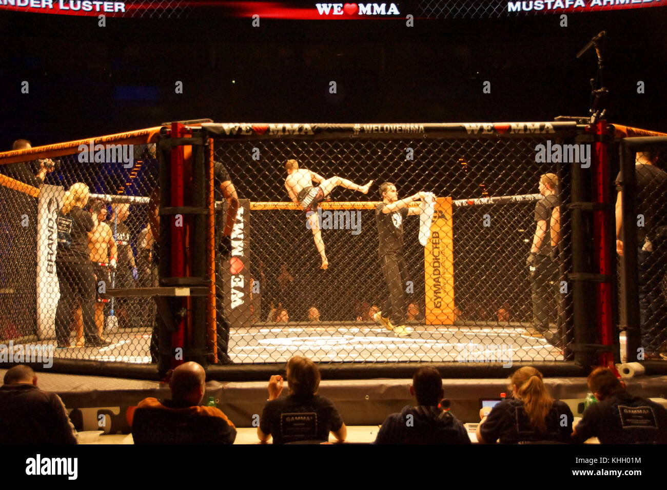 Hamburg, Germany. 18th Nov, 2017.The the fight between Alexander Luster ...