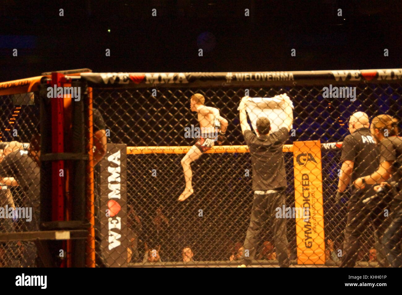 Hamburg, Germany. 18th Nov, 2017.The the fight between Alexander Luster ...