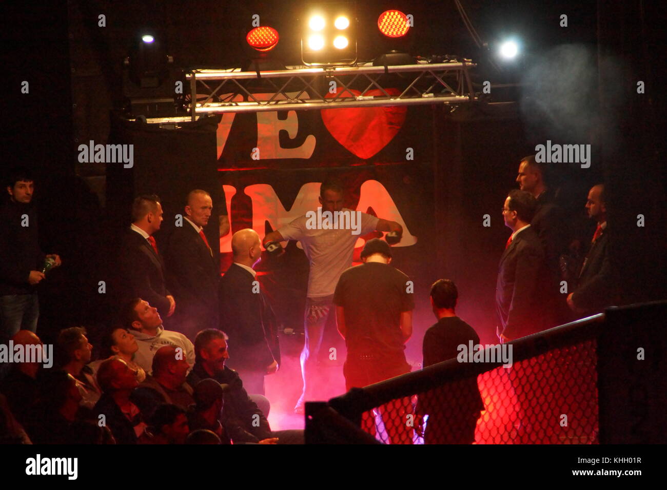 Hamburg, Germany. 18th Nov, 2017.The the fight between Alex Wiens and ...