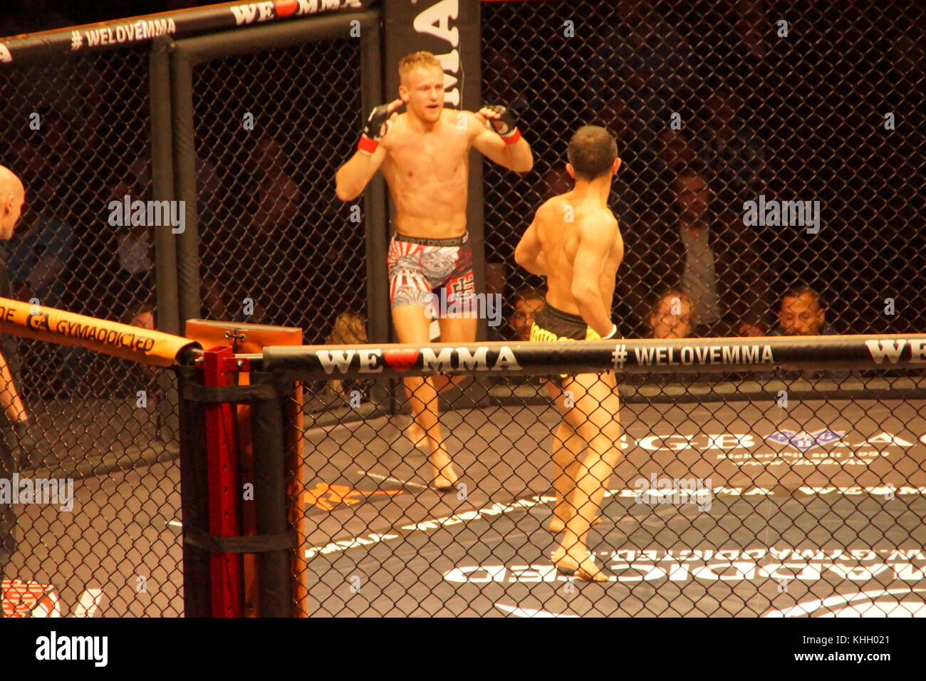 Hamburg, Germany. 18th Nov, 2017.The the fight between Alex Wiens and ...