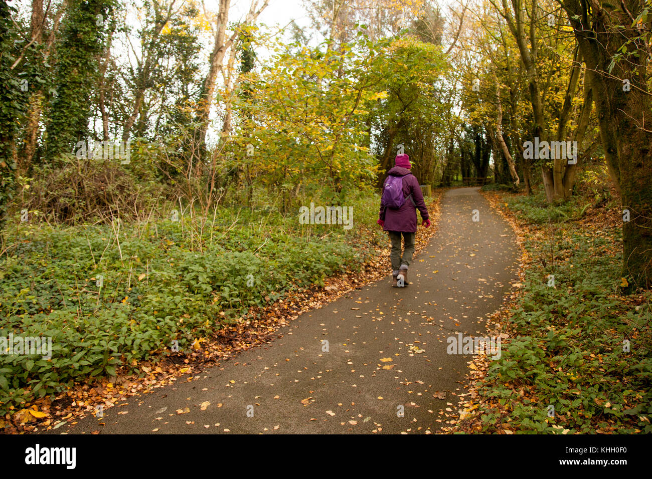 Autumn walk in 19th hi-res stock photography and images - Alamy
