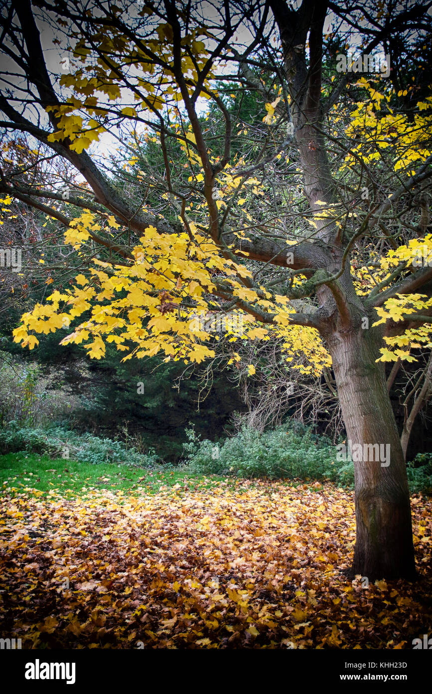 River ivel biggleswade hi-res stock photography and images - Alamy